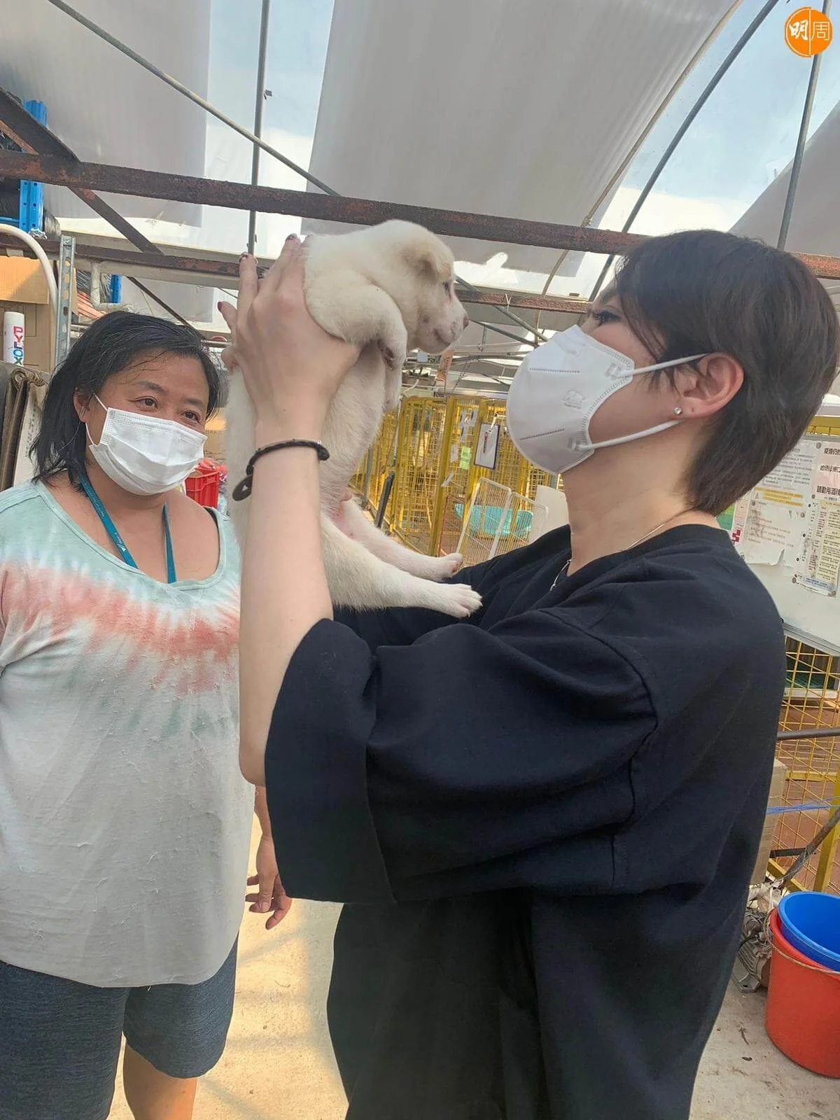 湯寶如11月開騷 抽空到收容中心探望流浪狗 - 本地 - 明周娛樂