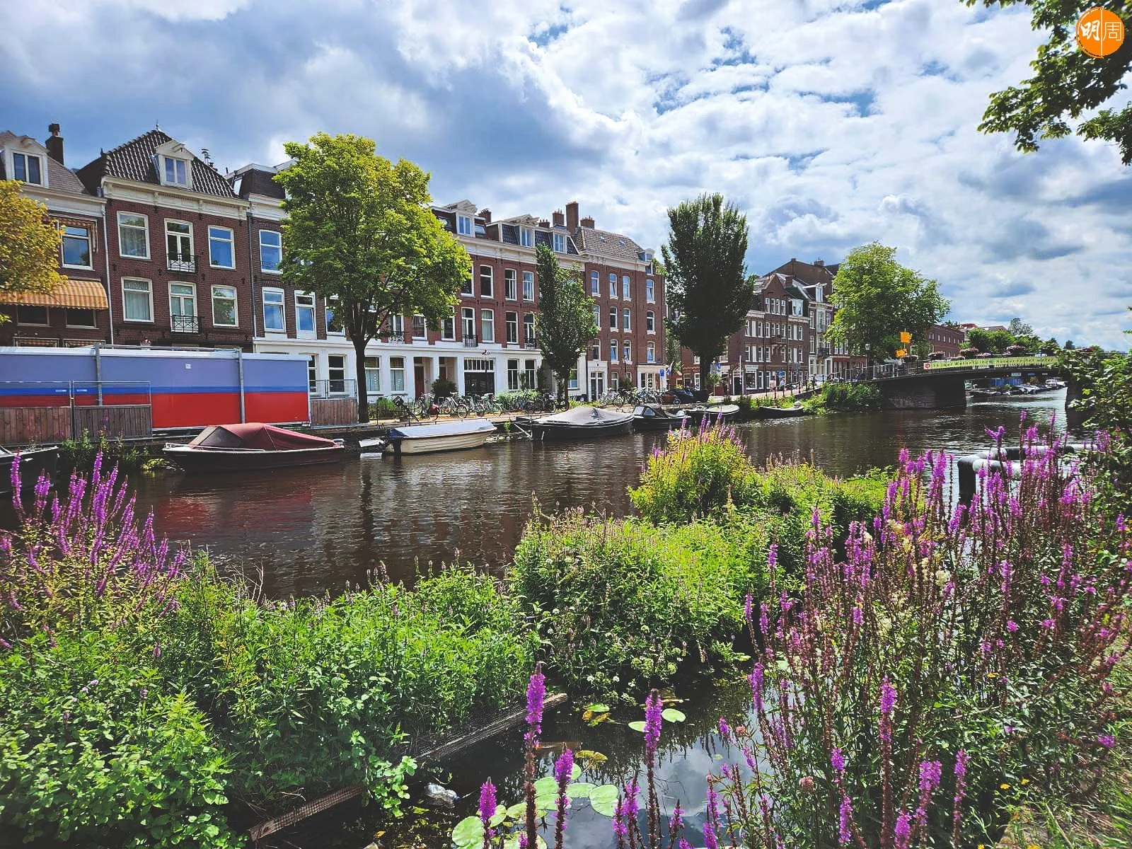 趙榮德：全港有哪些校網可以直升有名氣及受歡迎小學？ - 專欄 趙榮德．升學有道 - 明周娛樂